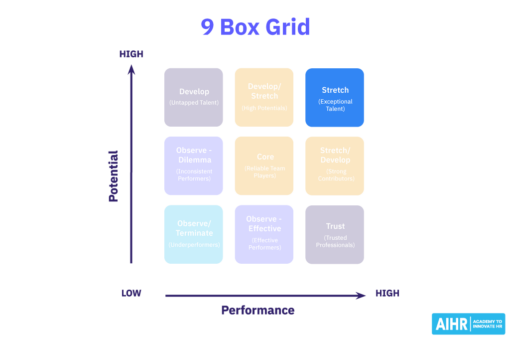 9 Box Grid: A Practitioner’s Guide [FREE Template] - AIHR