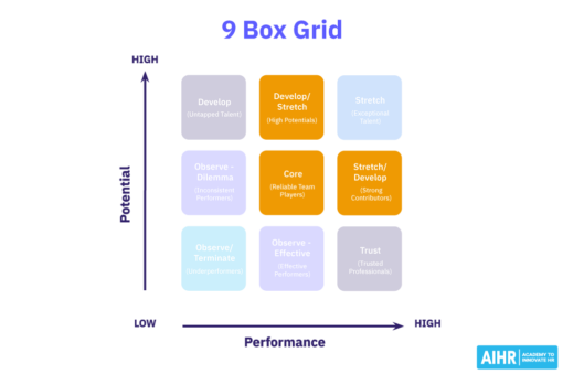 9 Box Grid: A Practitioner’s Guide [FREE Template] - AIHR