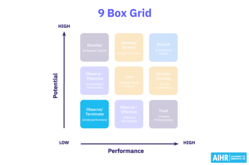 9 Box Grid: A Practitioner’s Guide [FREE Template] - AIHR