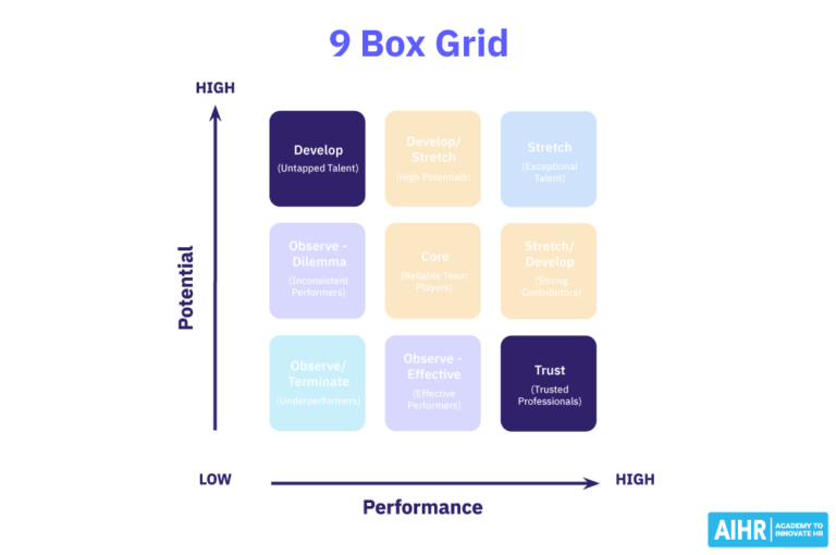 9 Box Grid: A Practitioner’s Guide [FREE Template] - AIHR