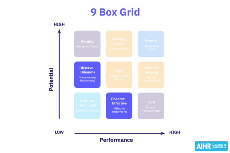 9 Box Grid: A Practitioner’s Guide [FREE Template] - AIHR