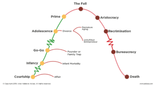 Organizational Life Cycle: Definition, Models, and Stages - AIHR