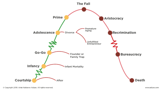 Organizational Life Cycle: Definition, Models, and Stages - AIHR