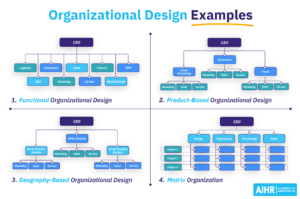 Organizational Design: A Complete Guide - AIHR