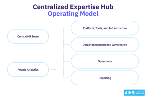 4 People Analytics Operating Models To Implement - AIHR