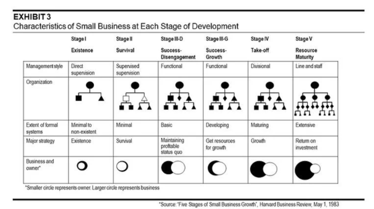 Organizational Life Cycle: Definition, Models, and Stages - AIHR