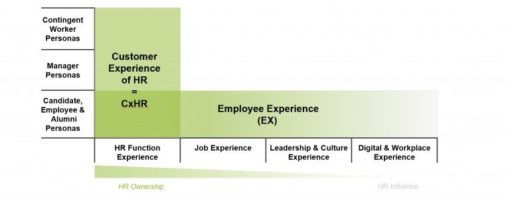 A Complete Guide to the Employee Experience - AIHR