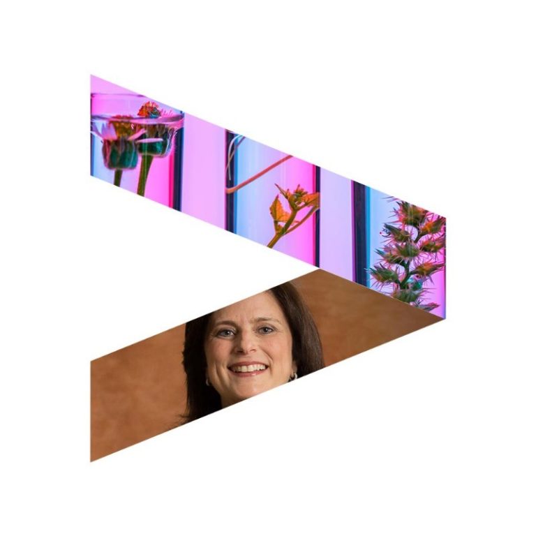 65+ Global Influencers in HR Tech to Follow in 2021 - AIHR