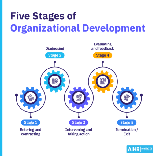 What Is Organizational Development? A Complete Guide - AIHR