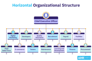 What Is a Horizontal Organizational Structure? - AIHR