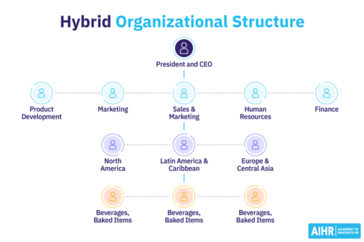 What Is a Hybrid Organizational Structure? | HR Glossary - AIHR