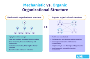 What Is an Organic Organizational Structure? | HR Glossary - AIHR