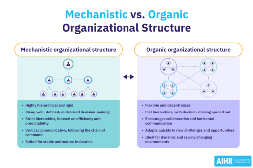 What Is an Organic Organizational Structure? | HR Glossary - AIHR