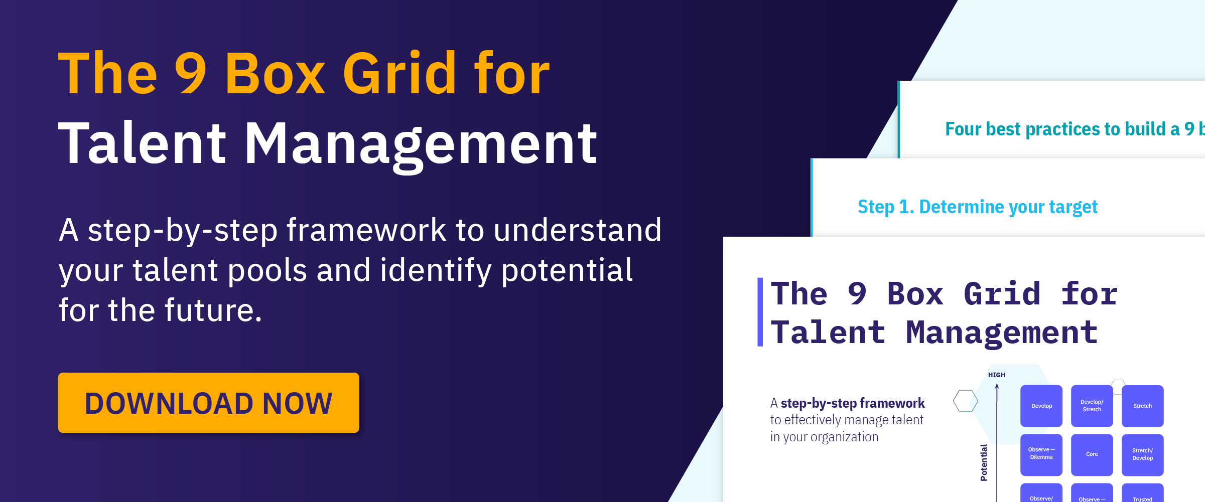 Best 9 Box Grid Alternatives To Consider for Talent Management - AIHR