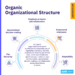 What Is an Organic Organizational Structure? | HR Glossary - AIHR