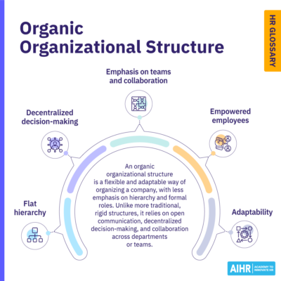 What Is an Organic Organizational Structure? | HR Glossary - AIHR