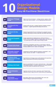 10 Organizational Design Models You Should Know - AIHR