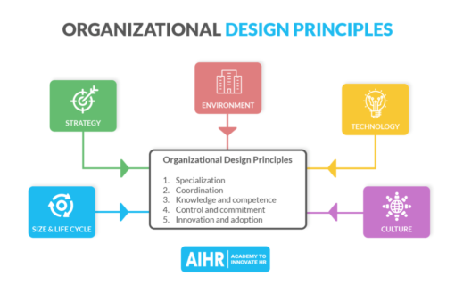 The HR Life Cycle in 13 Steps - AIHR