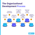 What Is Organizational Development? A Complete Guide - AIHR