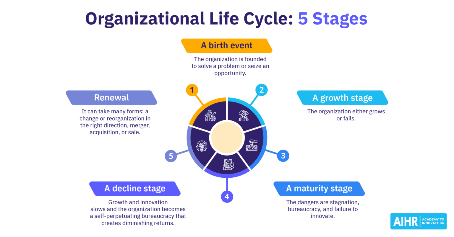 10 Steps for Organizational Transformation Success | AIHR Digital