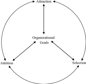 Talent Acquisition: A Full Guide - AIHR
