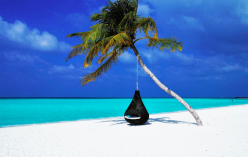 11 Best Employee Wellness Programs Examples - AIHR