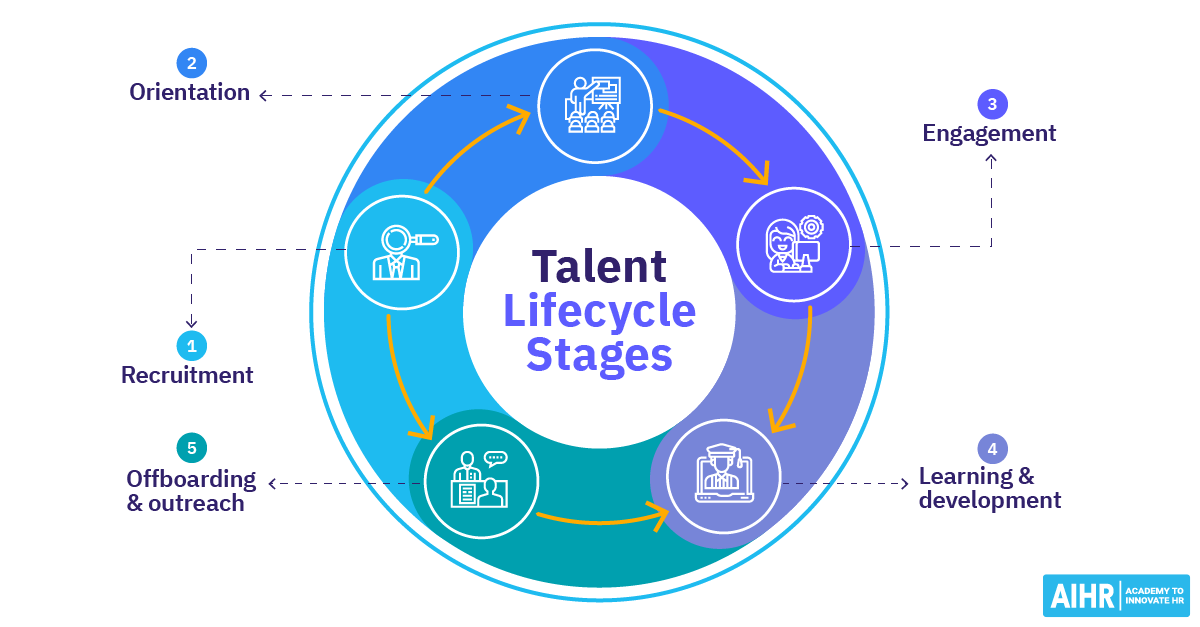 What Is the Talent Lifecycle? The 5 Stages Explained - AIHR