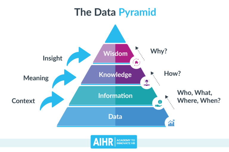 Data Literacy: An Essential Skill for HR Professionals - AIHR