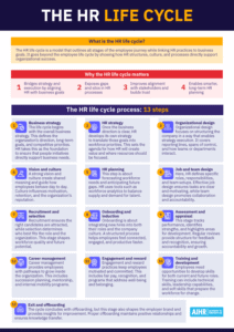 HR Life Cycle Explained: 13 Steps + Toolkit for HR Leaders - AIHR