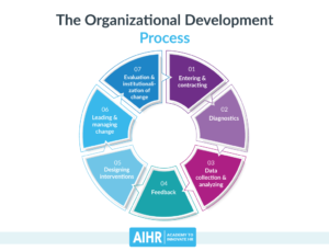 What is Organizational Development? A Complete Guide - AIHR