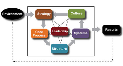 10 Organizational Design Models You Should Know - AIHR