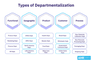 What is Departmentalization? | HR Glossary - AIHR