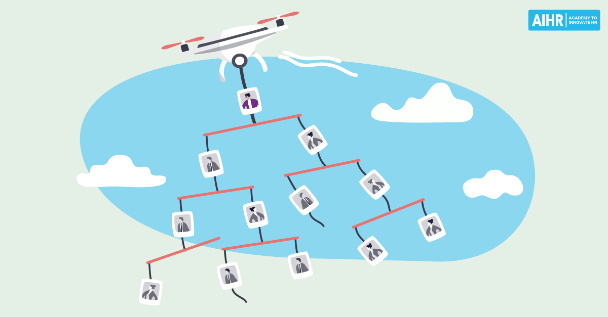 17 Types of Organizational Design and Structures - AIHR