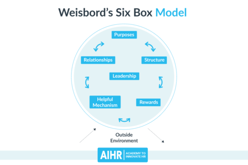 10 Organizational Design Models You Should Know - AIHR