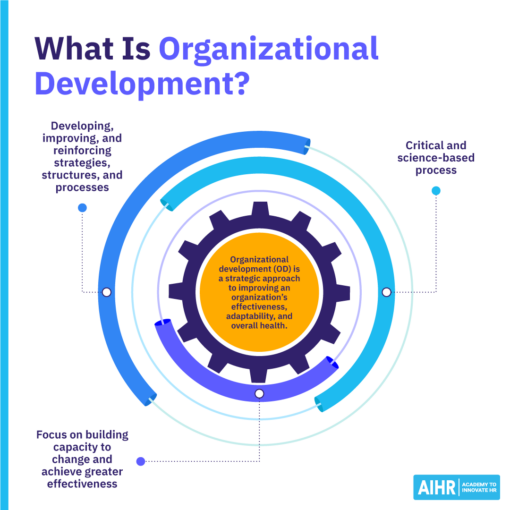What Is Organizational Development? A Complete Guide - AIHR