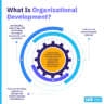 What Is Organizational Development? A Complete Guide - AIHR
