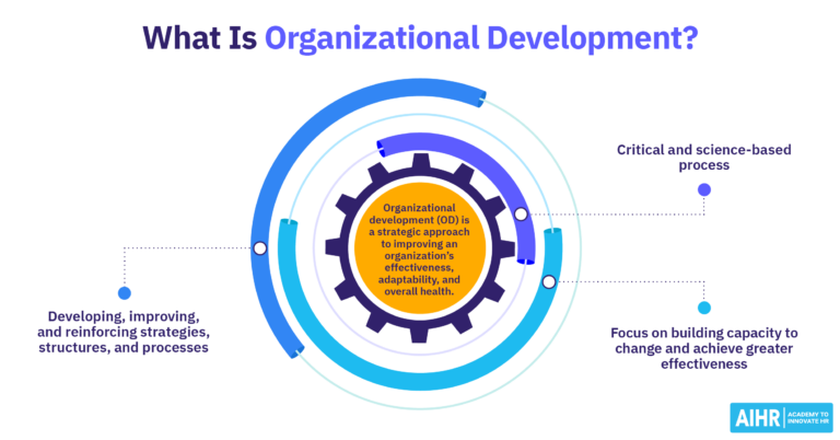 20 Organizational Development Examples From Top Businesses - AIHR