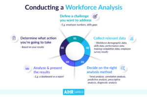 Workforce Analysis: HR's Introduction and Guide - AIHR