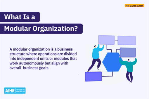 What Is a Modular Organization? | HR Glossary - AIHR