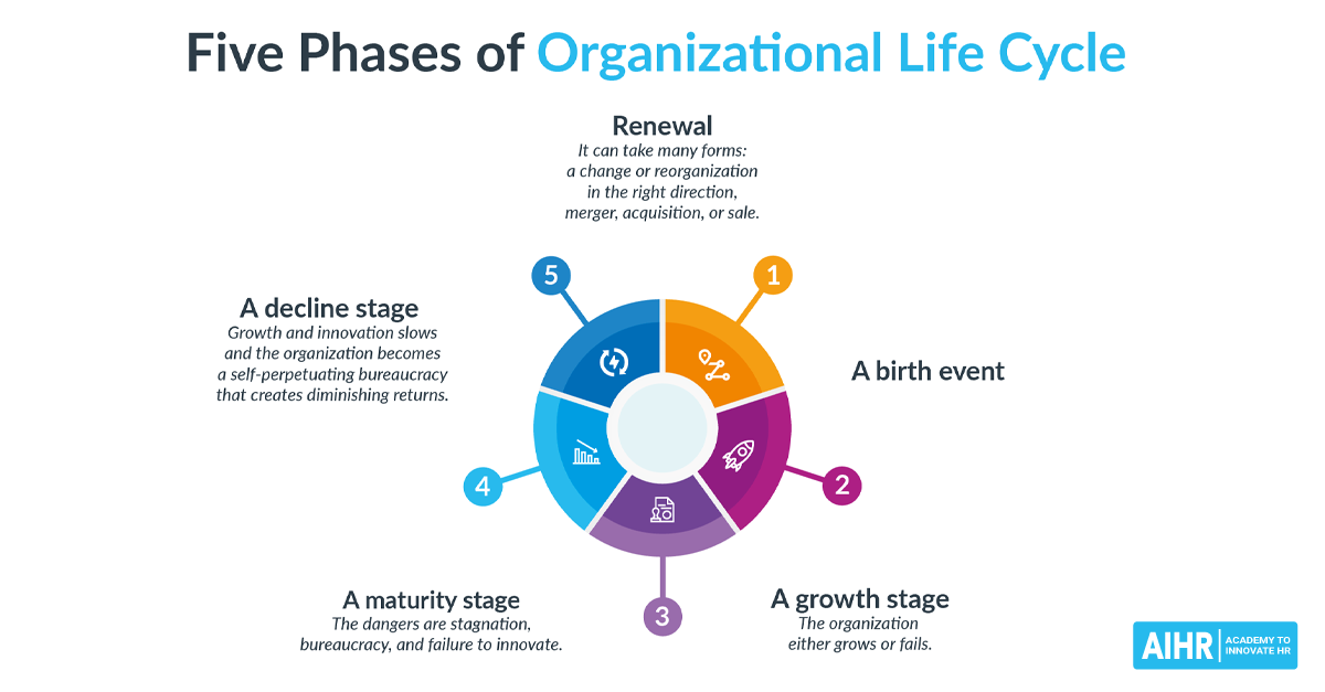 Organizational Life Cycle Definition Models And Stages AIHR Organizational Life Cycle Definition Models And Stages AIHR