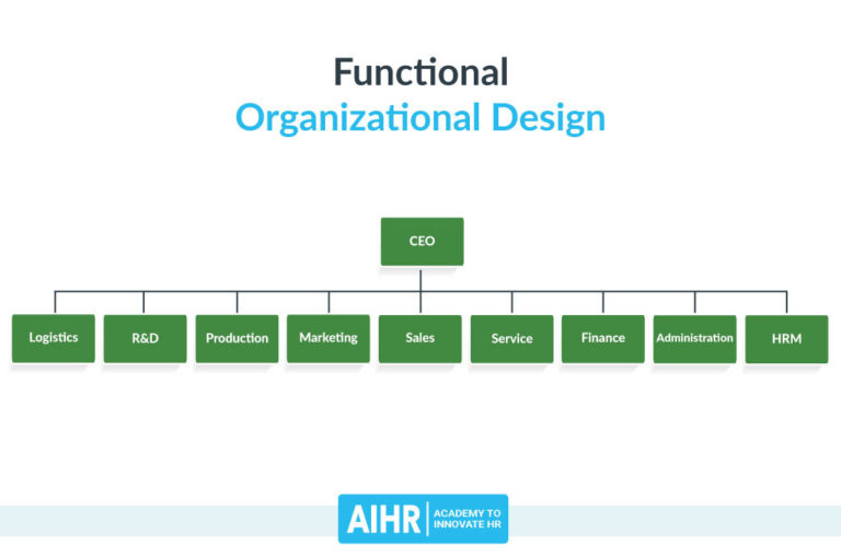 17 Types of Organizational Design and Structures - AIHR