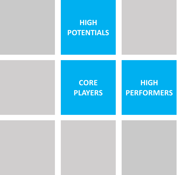 The 9 Box Grid: A Practitioner’s Guide - AIHR