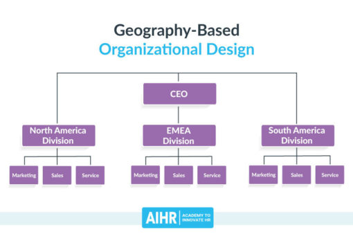 17 Types of Organizational Design and Structures - AIHR