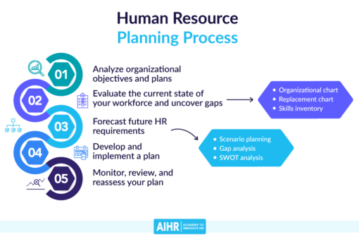 Human Resource Planning Process: A Practitioner's Guide - AIHR