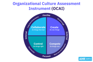 What Is a Cultural Assessment? How To Perform Yours in 2026 - AIHR