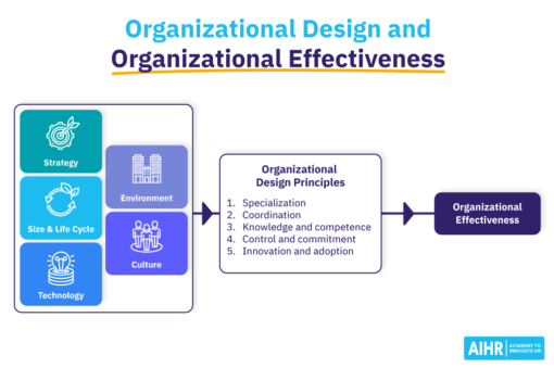 Organizational Design: A Complete Guide - AIHR
