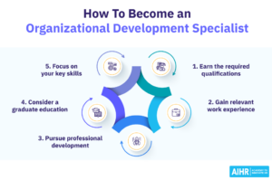 The Role of an Organizational Development Specialist - AIHR