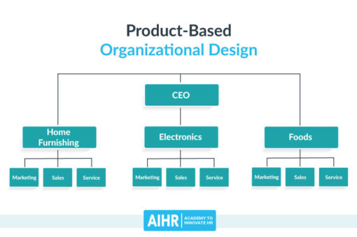 17 Types of Organizational Design and Structures - AIHR