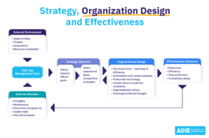 Organizational Design: A Complete Guide - AIHR