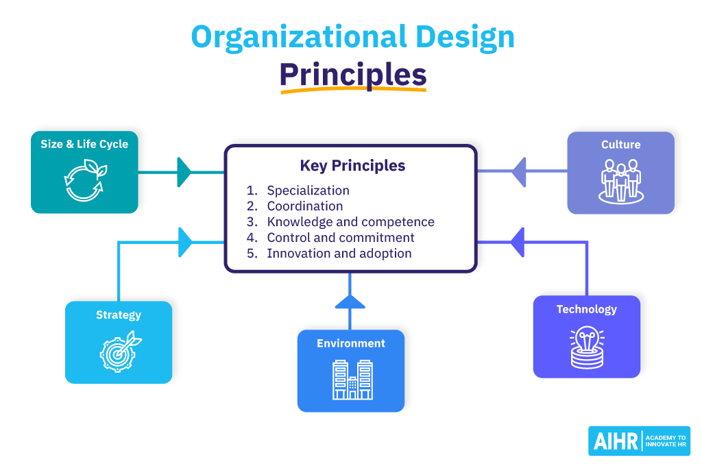  Designing Your Organization Using The STAR Model To Solve 5 
